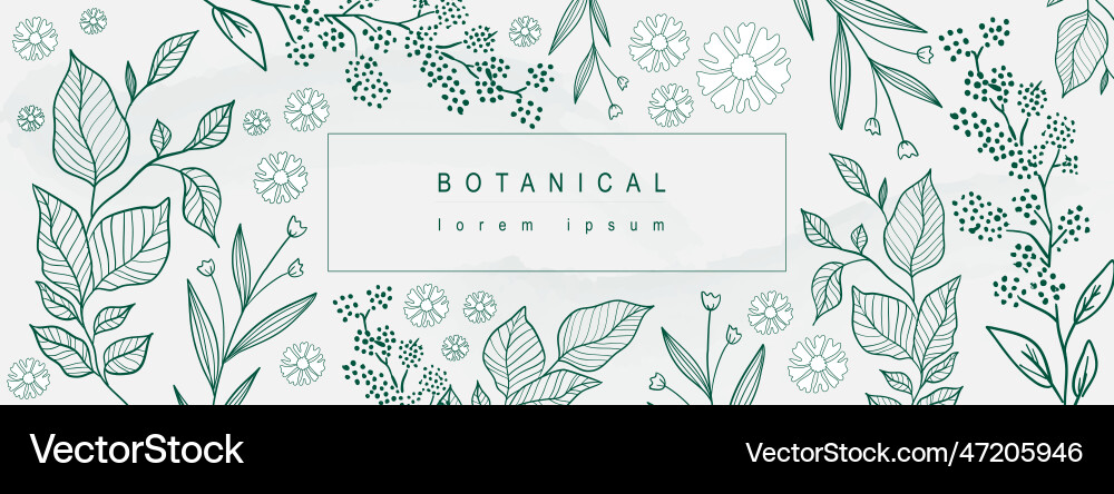 Botanical abstract background with floral line art