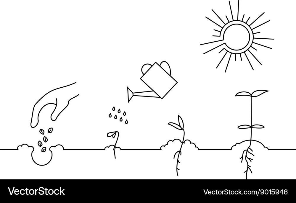 Timeline infographic of planting tree process Vector Image