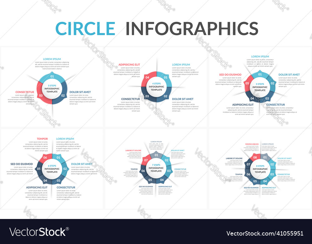 Circle infographics Royalty Free Vector Image - VectorStock