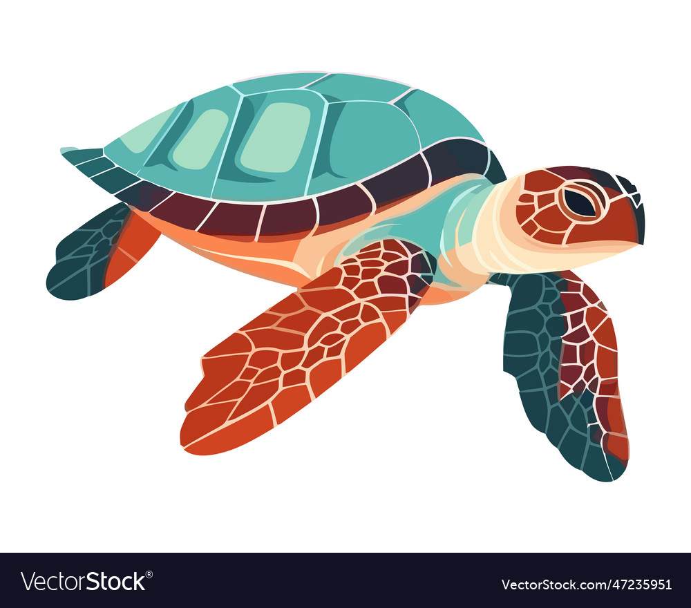 Colorful Sea Turtle Illustration Royalty Free Vector Image