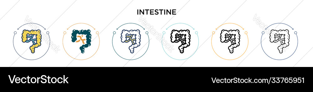 Intestine icon in filled thin line outline Vector Image
