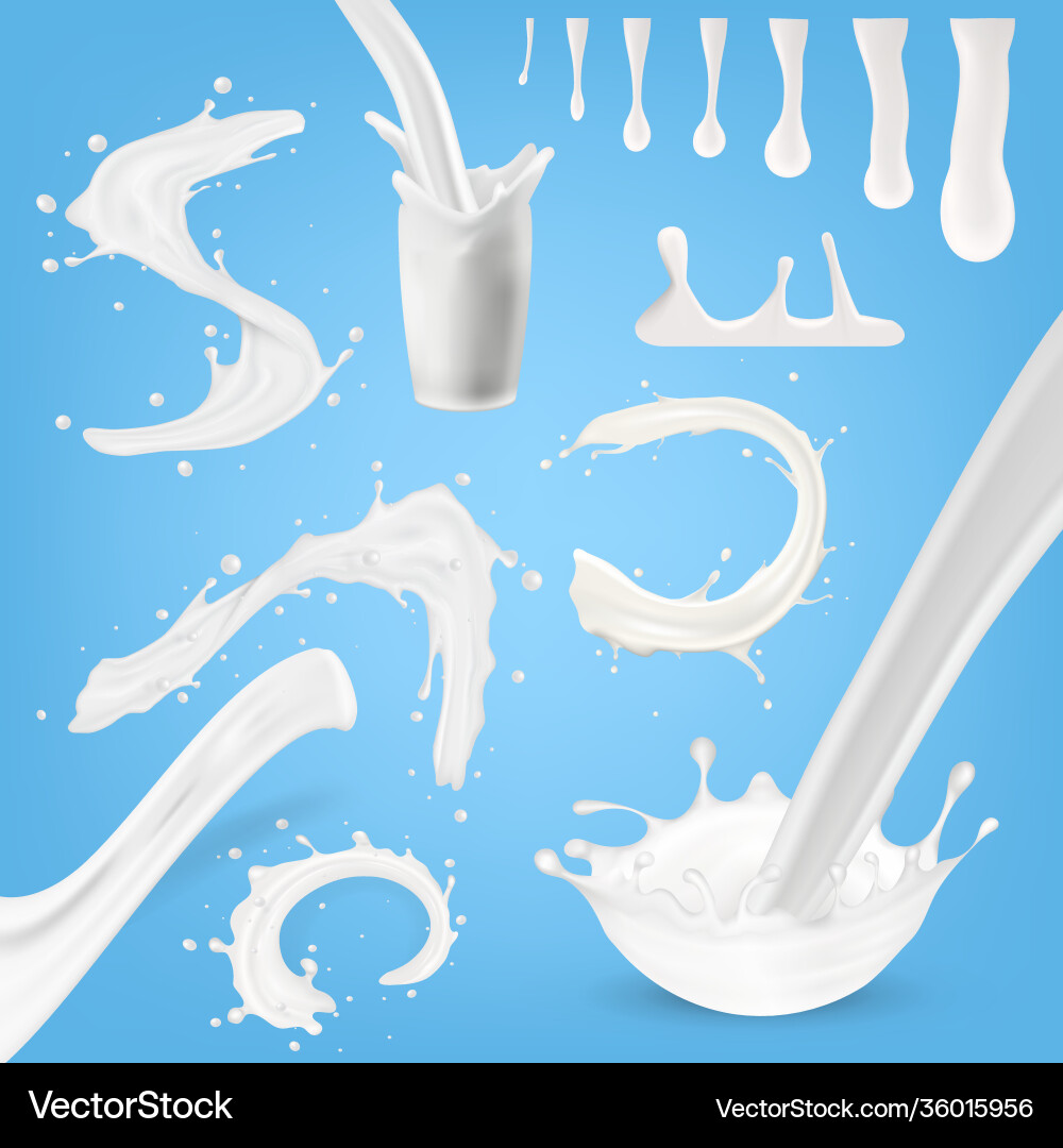 3d realistic milk splashes drops and swirls Vector Image