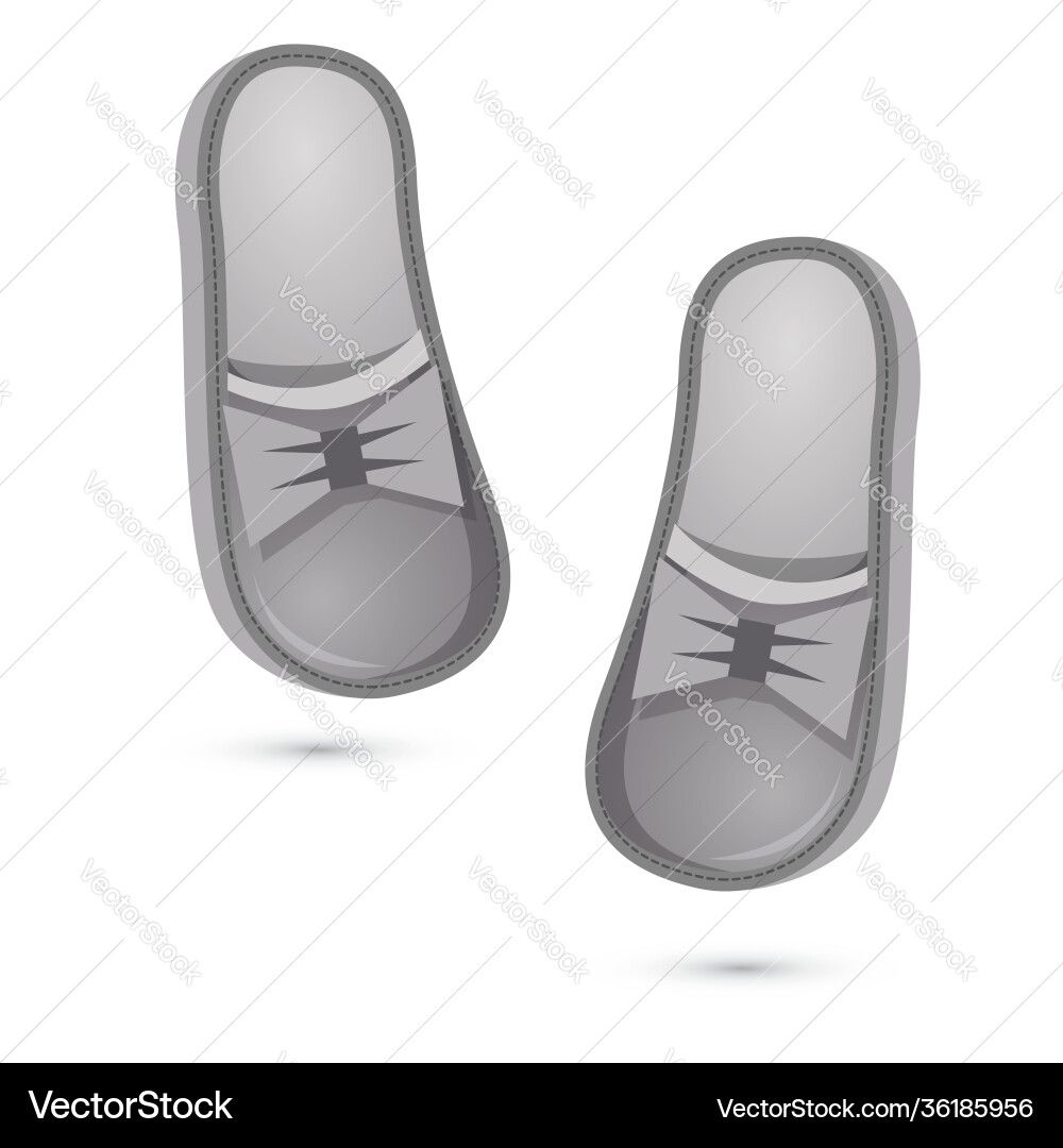 Pair parents home slippers isolated on white Vector Image