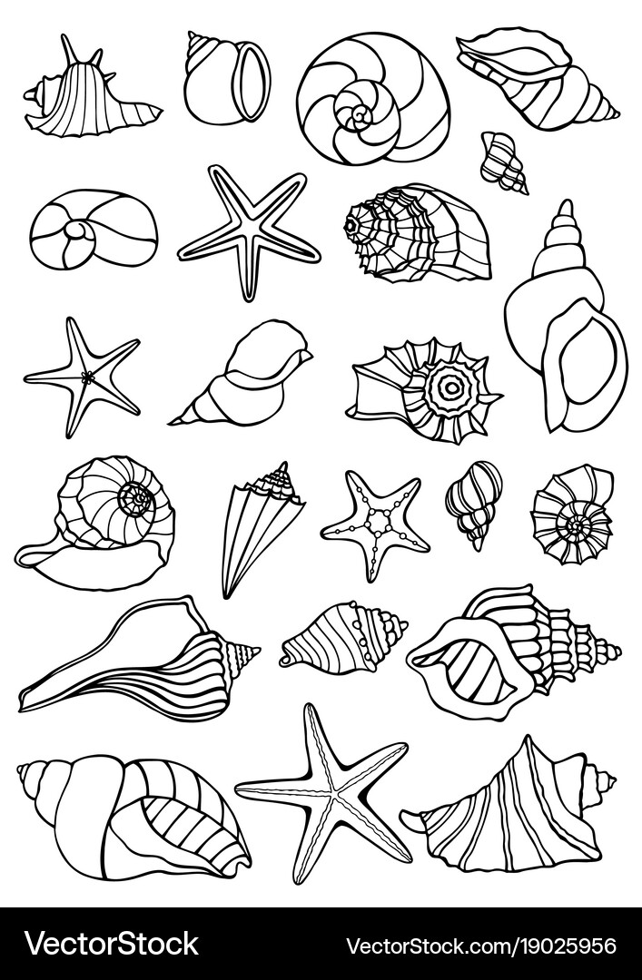 Set of vintage seashells Royalty Free Vector Image
