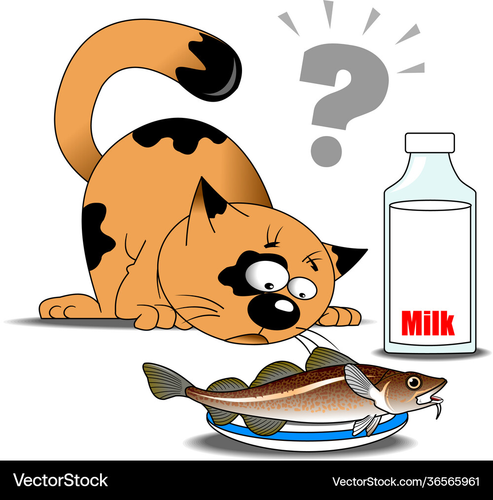 Cat and food Royalty Free Vector Image - VectorStock