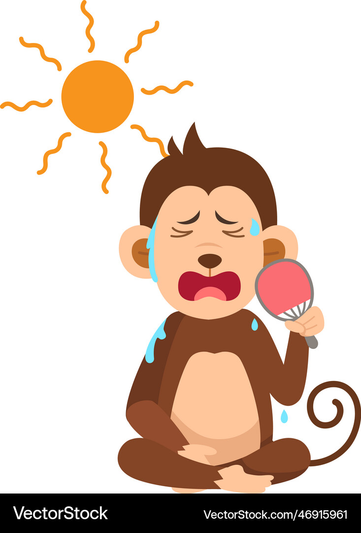 Cute cartoon monkey character on white background Vector Image