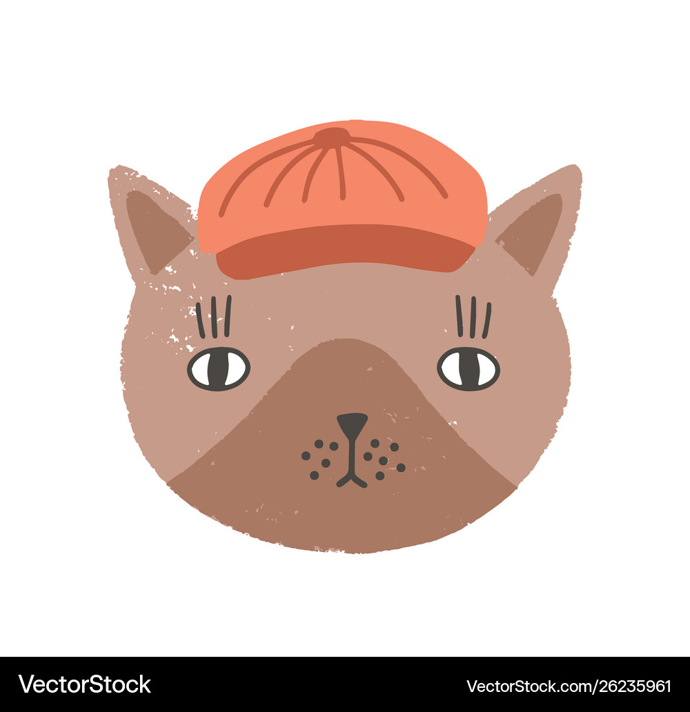 Cute Kittens Wearing Hats