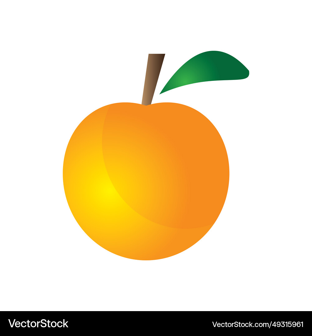 Fresh orange clip art is suitable for fruit Vector Image