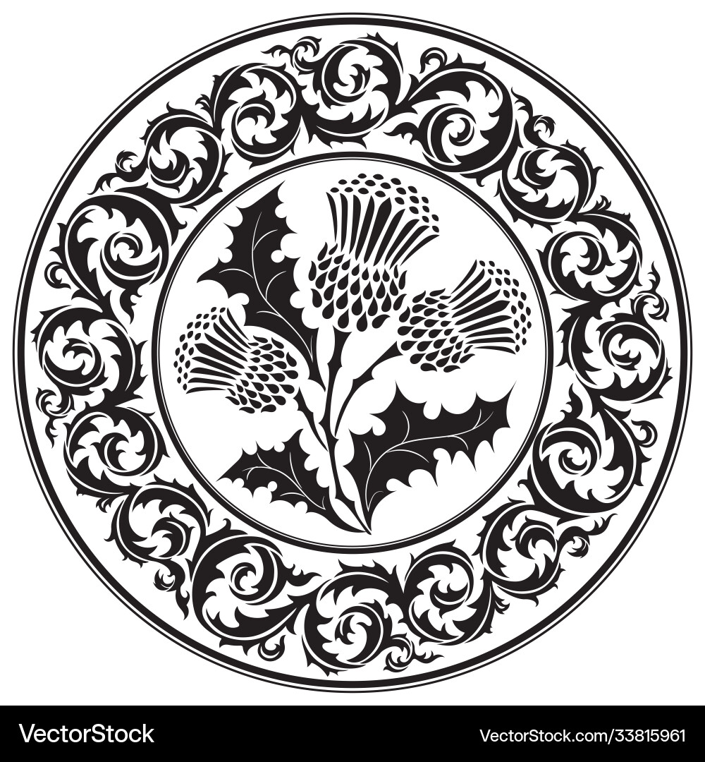 Thistle flower and ornament round leaf thistle Vector Image