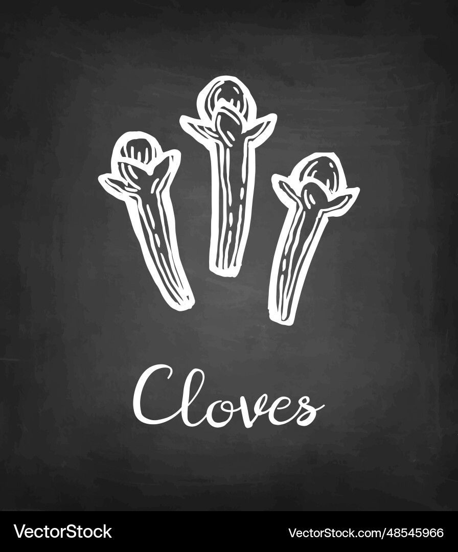 Clove herb chalk sketch Royalty Free Vector Image