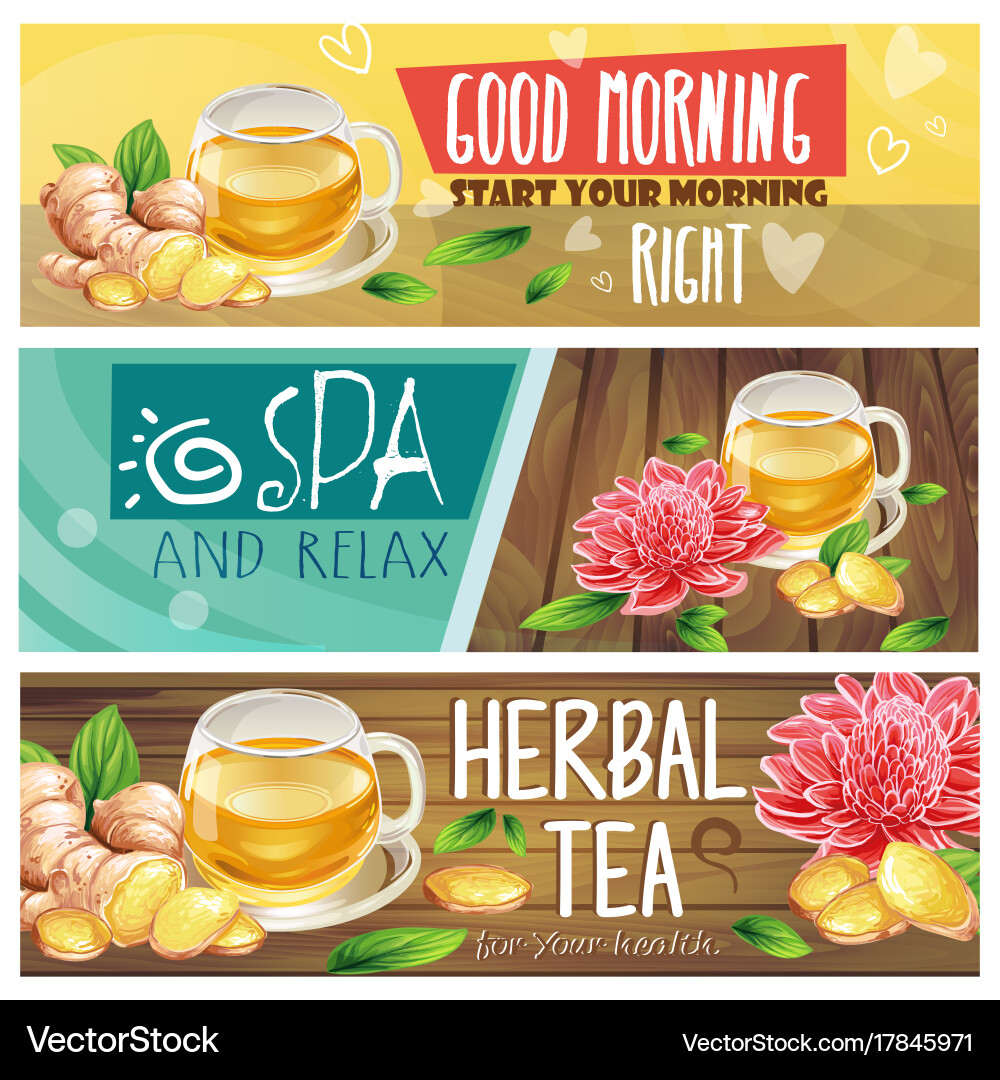 Relaxing morning herbal tea banners set Royalty Free Vector
