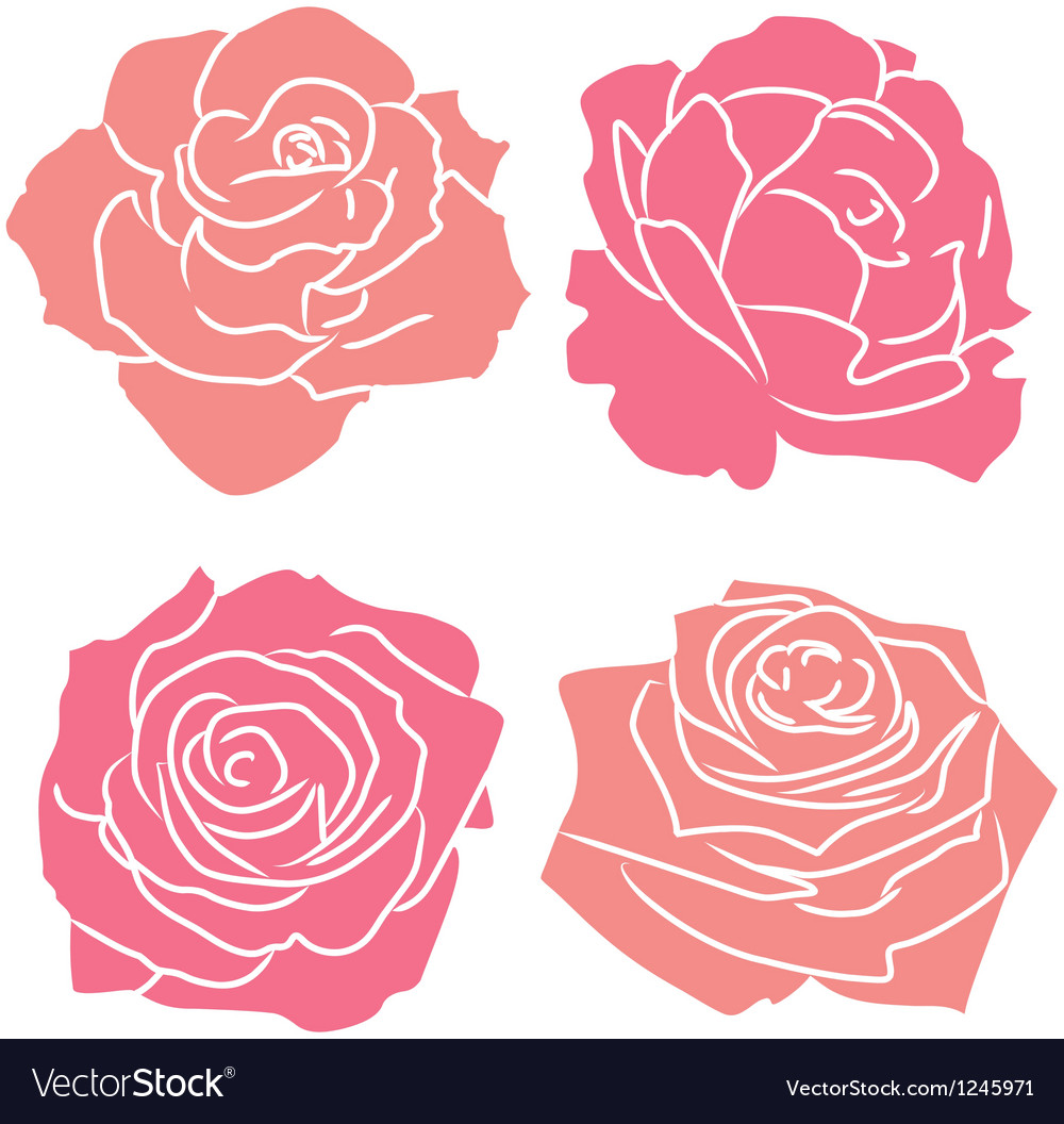 Roses Royalty Free Vector Image - VectorStock