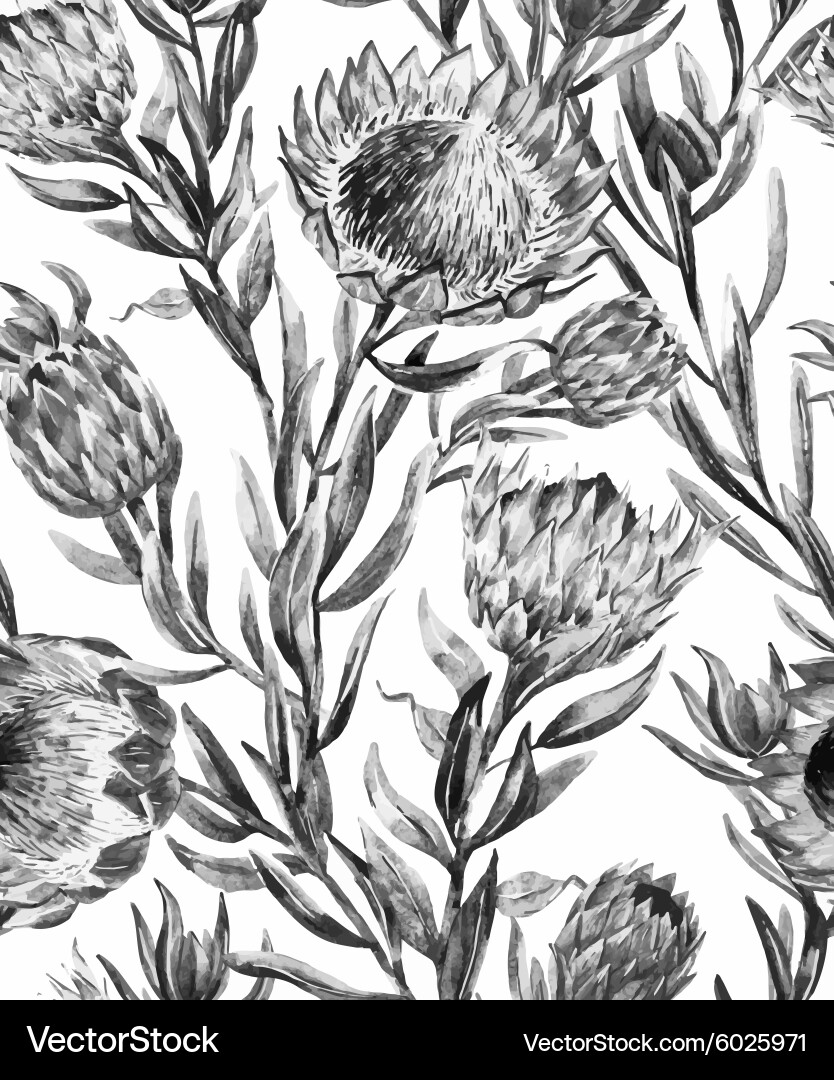 Watercolor tropical protea pattern Royalty Free Vector Image