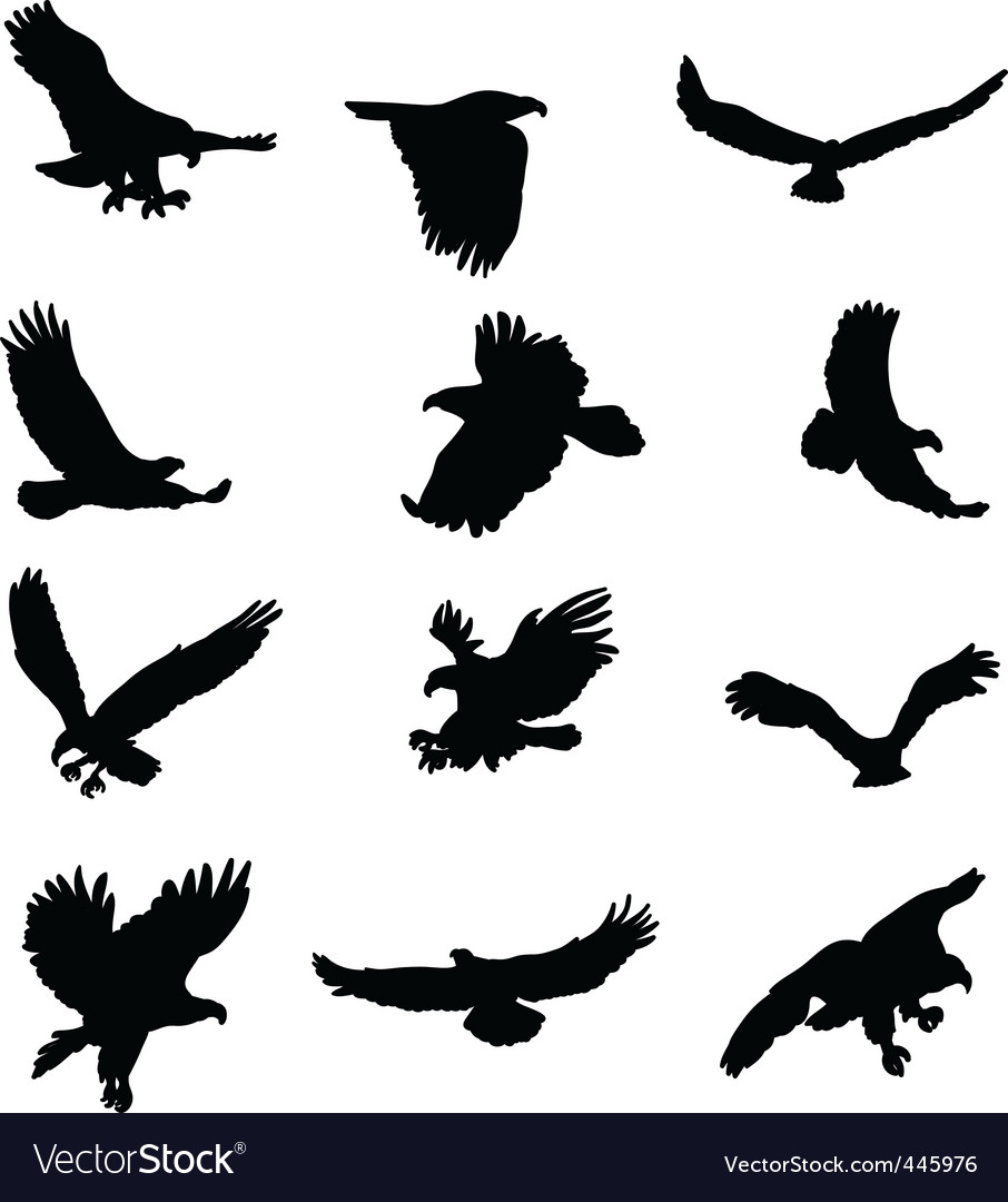 Eagles Royalty Free Vector Image - VectorStock