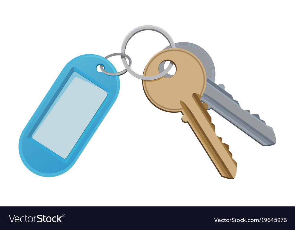 Key and keychain isolate Royalty Free Vector Image