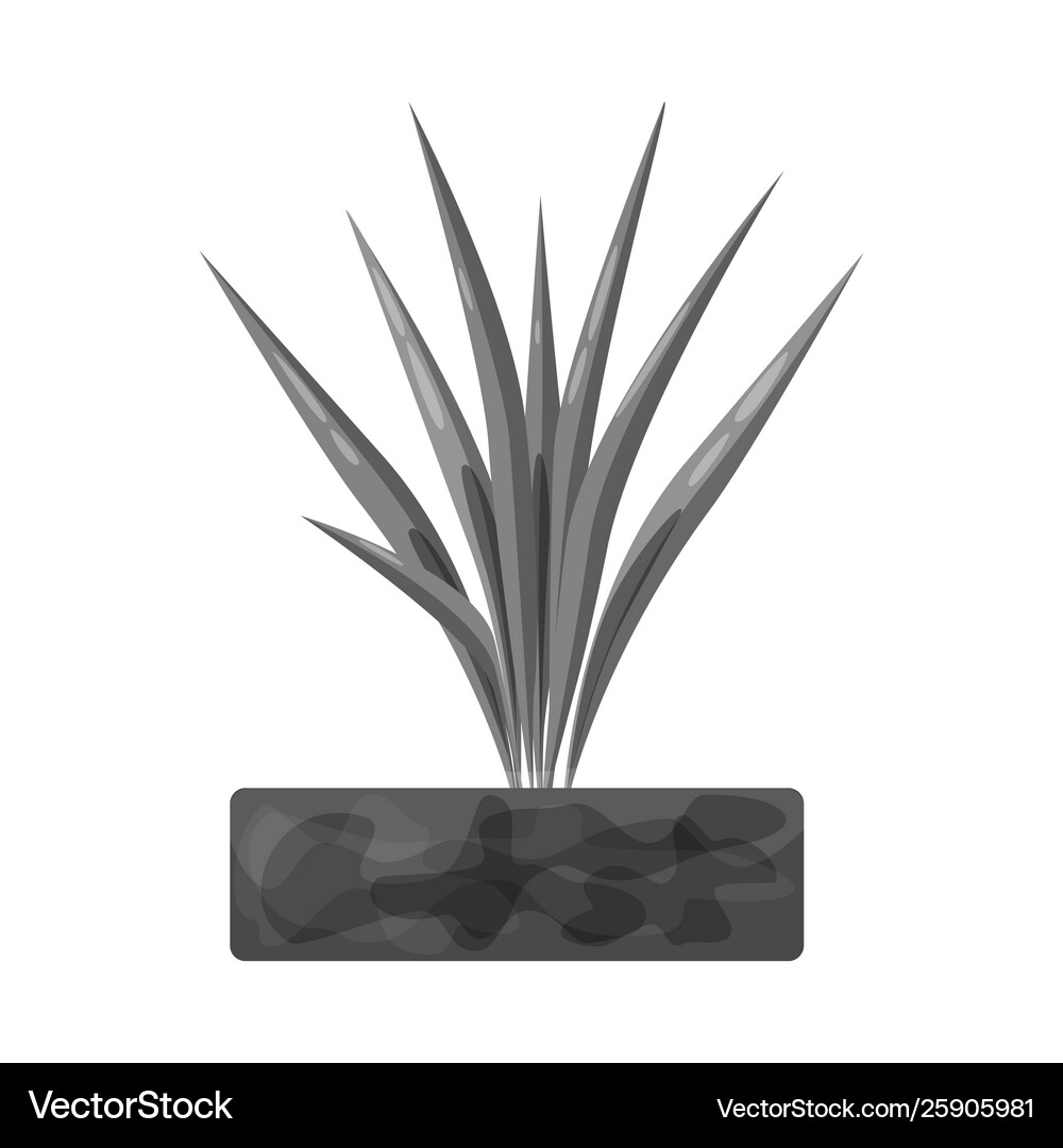 Design panicle and rice logo collection Royalty Free Vector