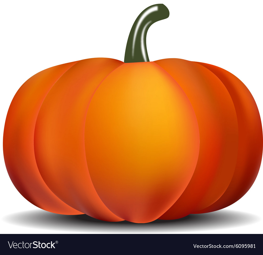 Pumpkin Royalty Free Vector Image - VectorStock