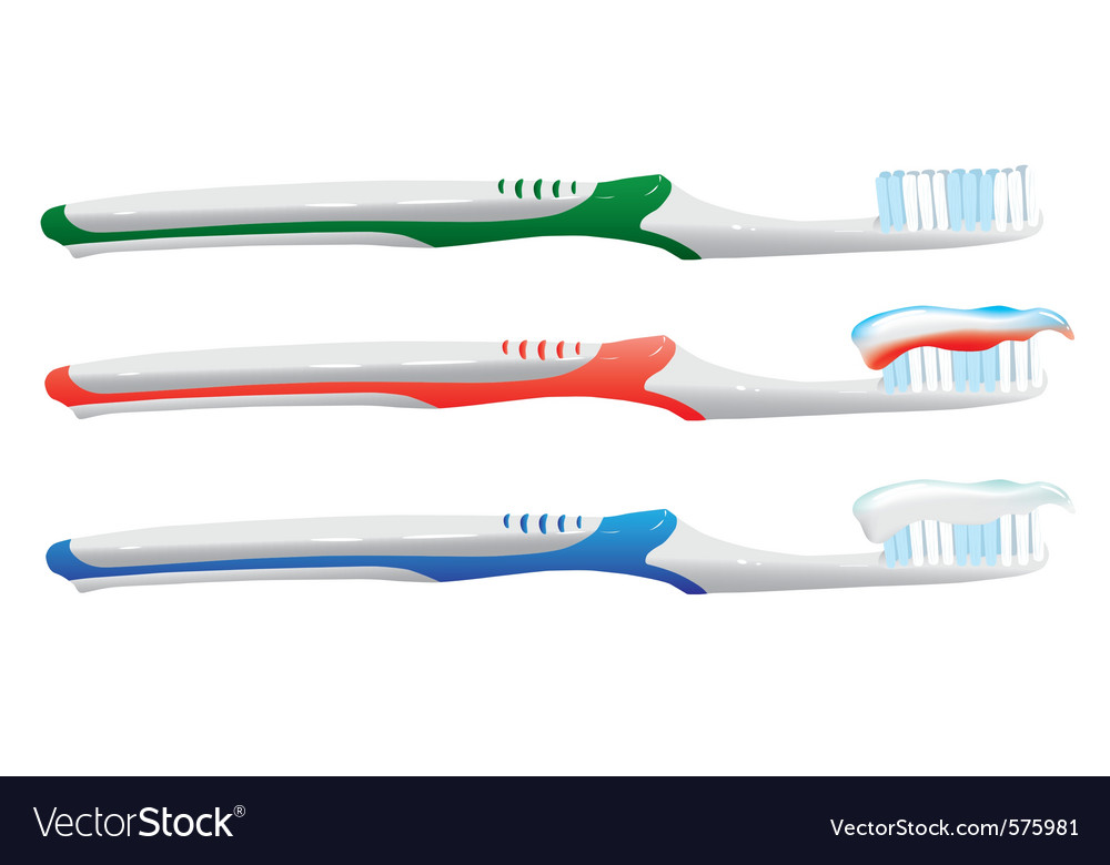 Toothbrush set Royalty Free Vector Image - VectorStock