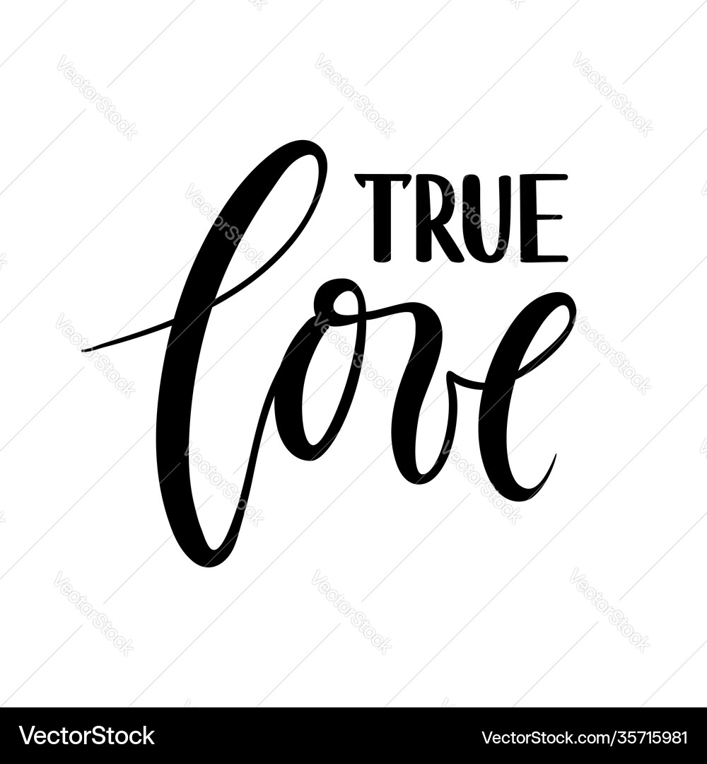 True love beautiful hand drawn lettering isolated Vector Image