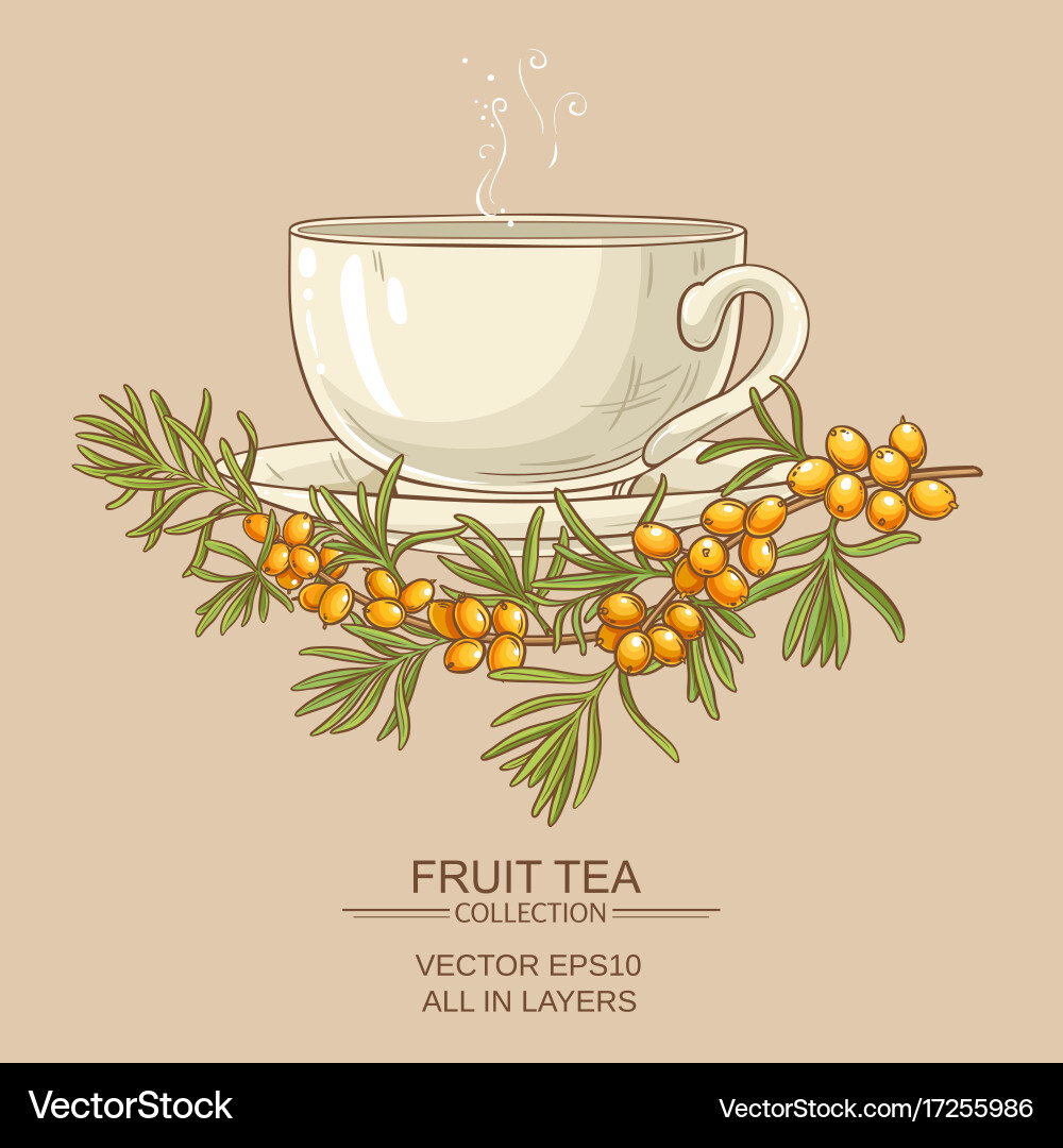 Cup of buckthorn tea Royalty Free Vector Image
