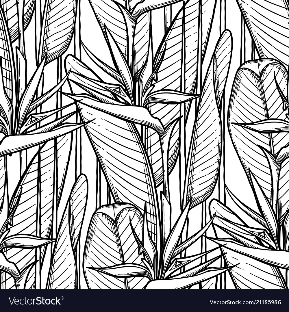 Graphic strelitzia pattern Royalty Free Vector Image