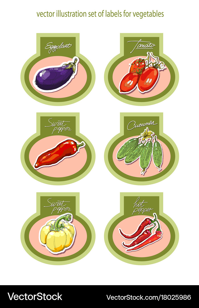 Set of labels with vegetables Royalty Free Vector Image