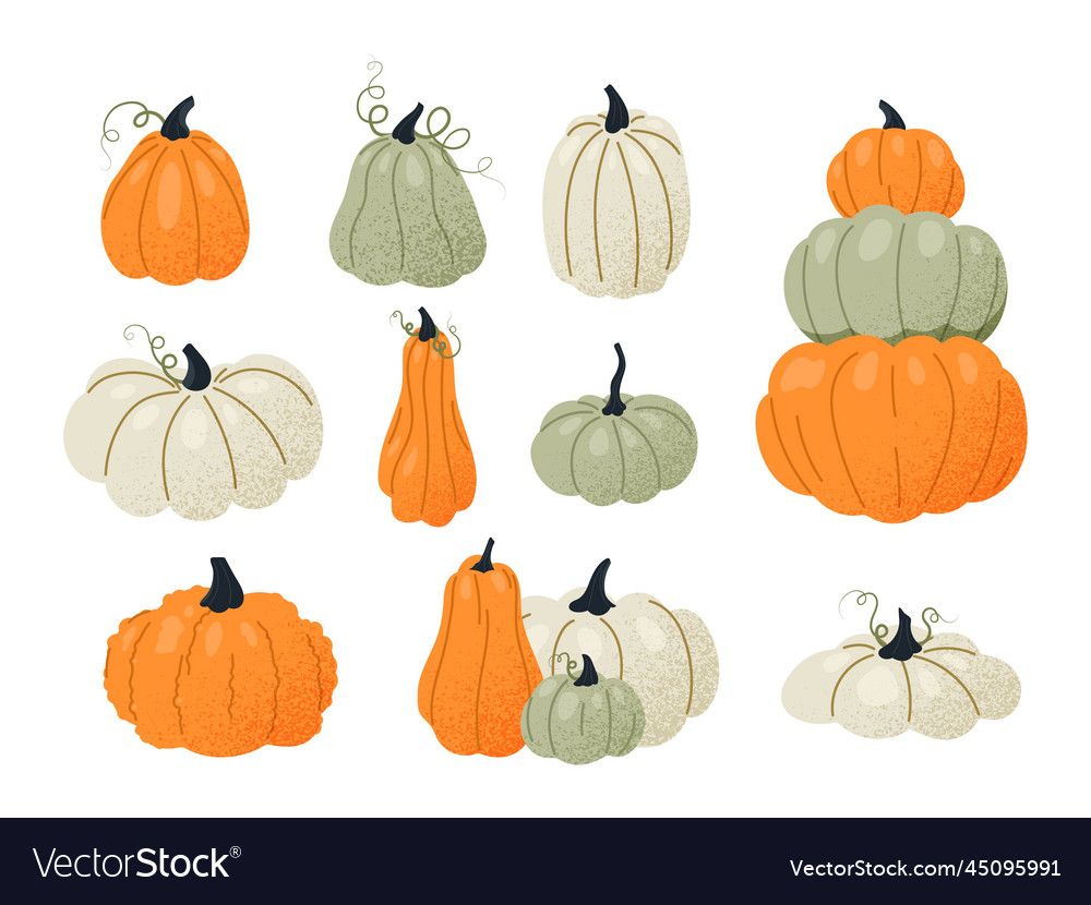 Different pumpkins collection Royalty Free Vector Image
