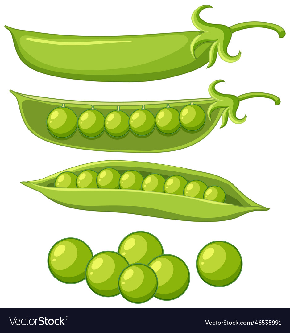 Isolated green peas cartoon Royalty Free Vector Image