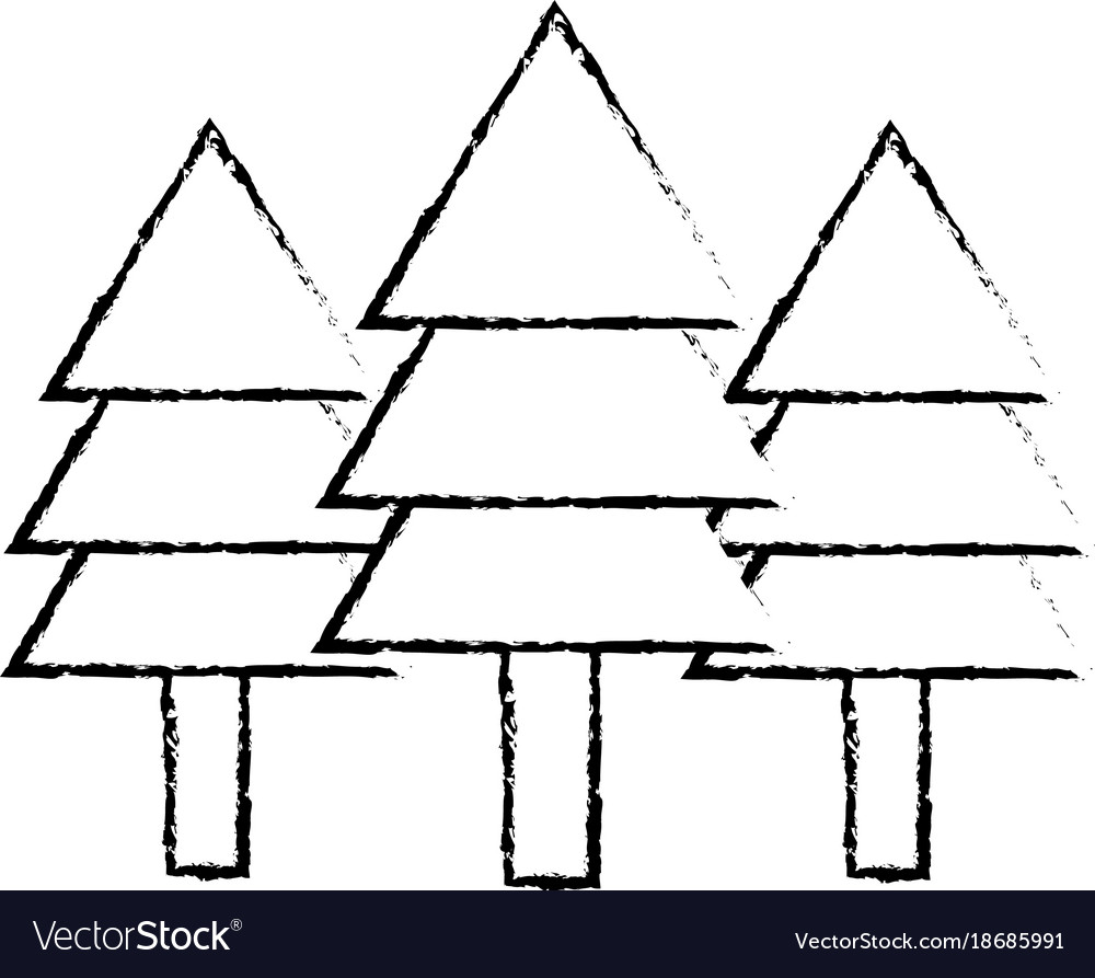 Isolated pine tree design Royalty Free Vector Image