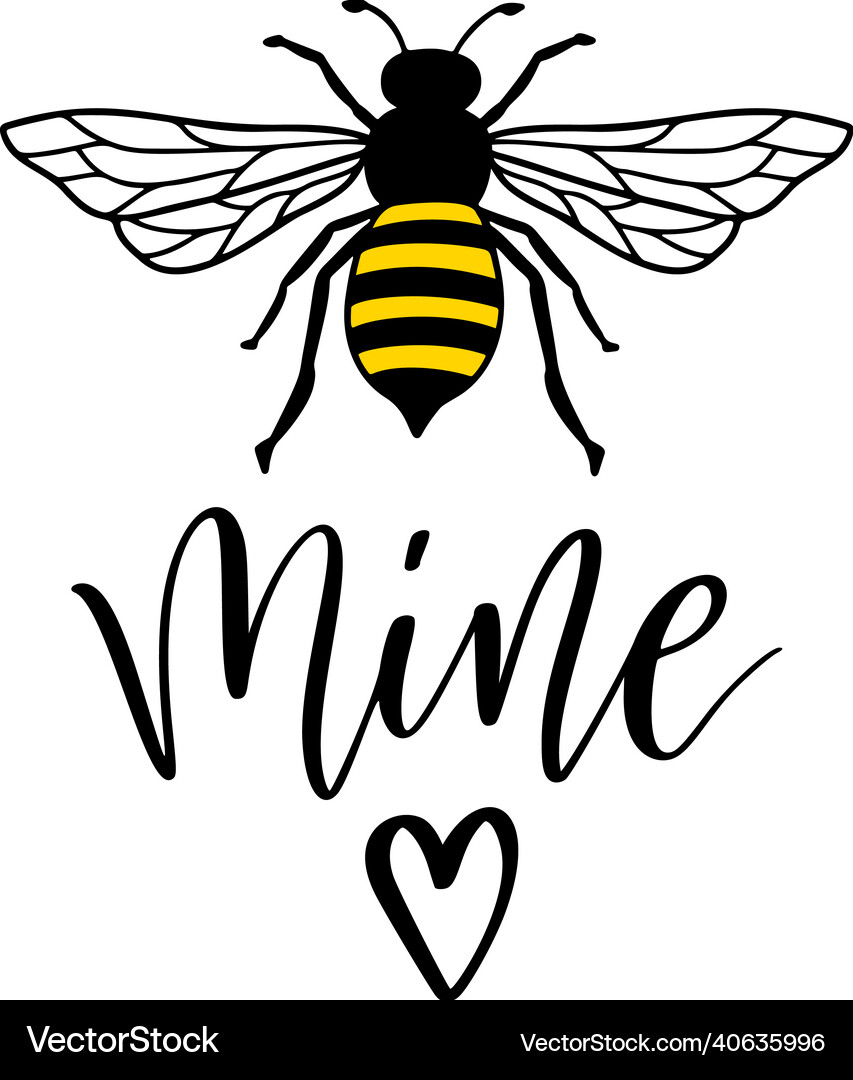 Bee mine funny quote hand drawn lettering Vector Image