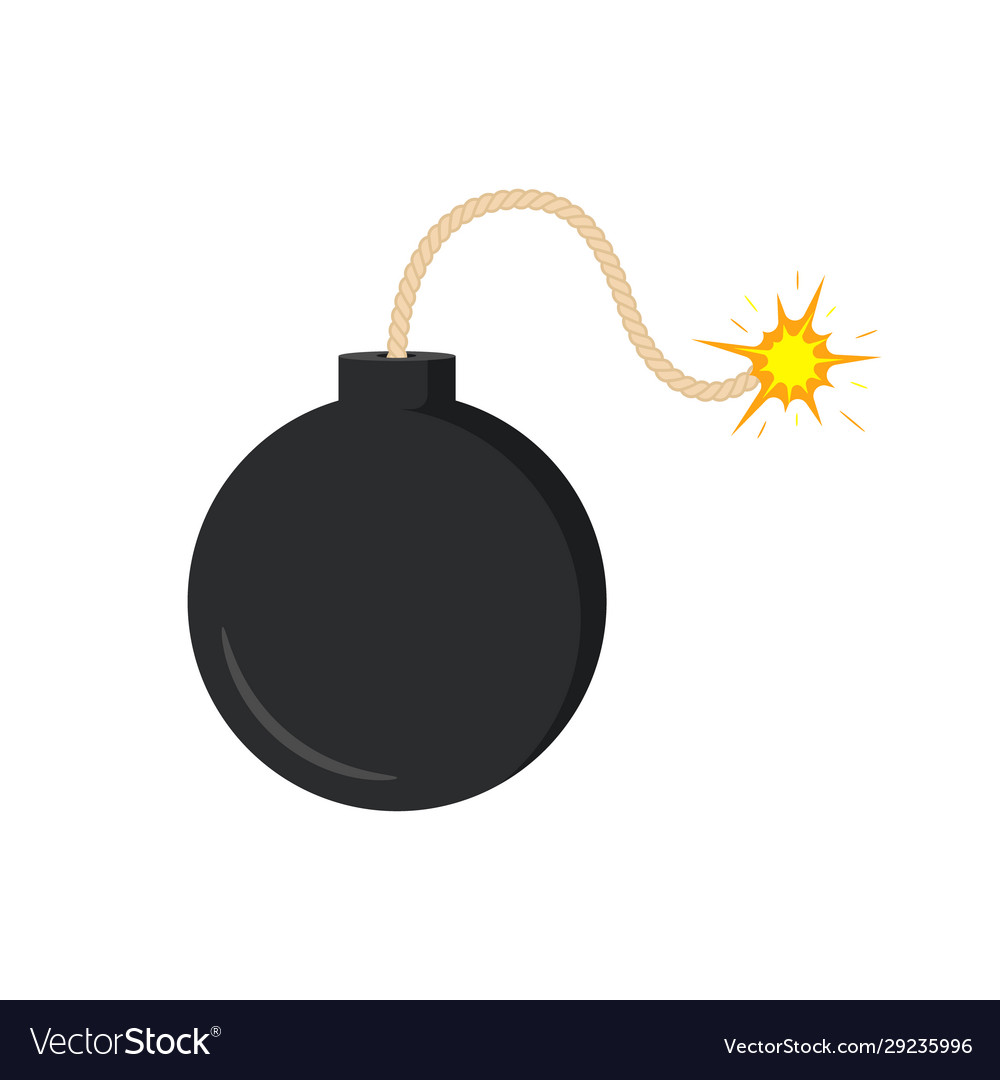Bomb icon flat design Royalty Free Vector Image