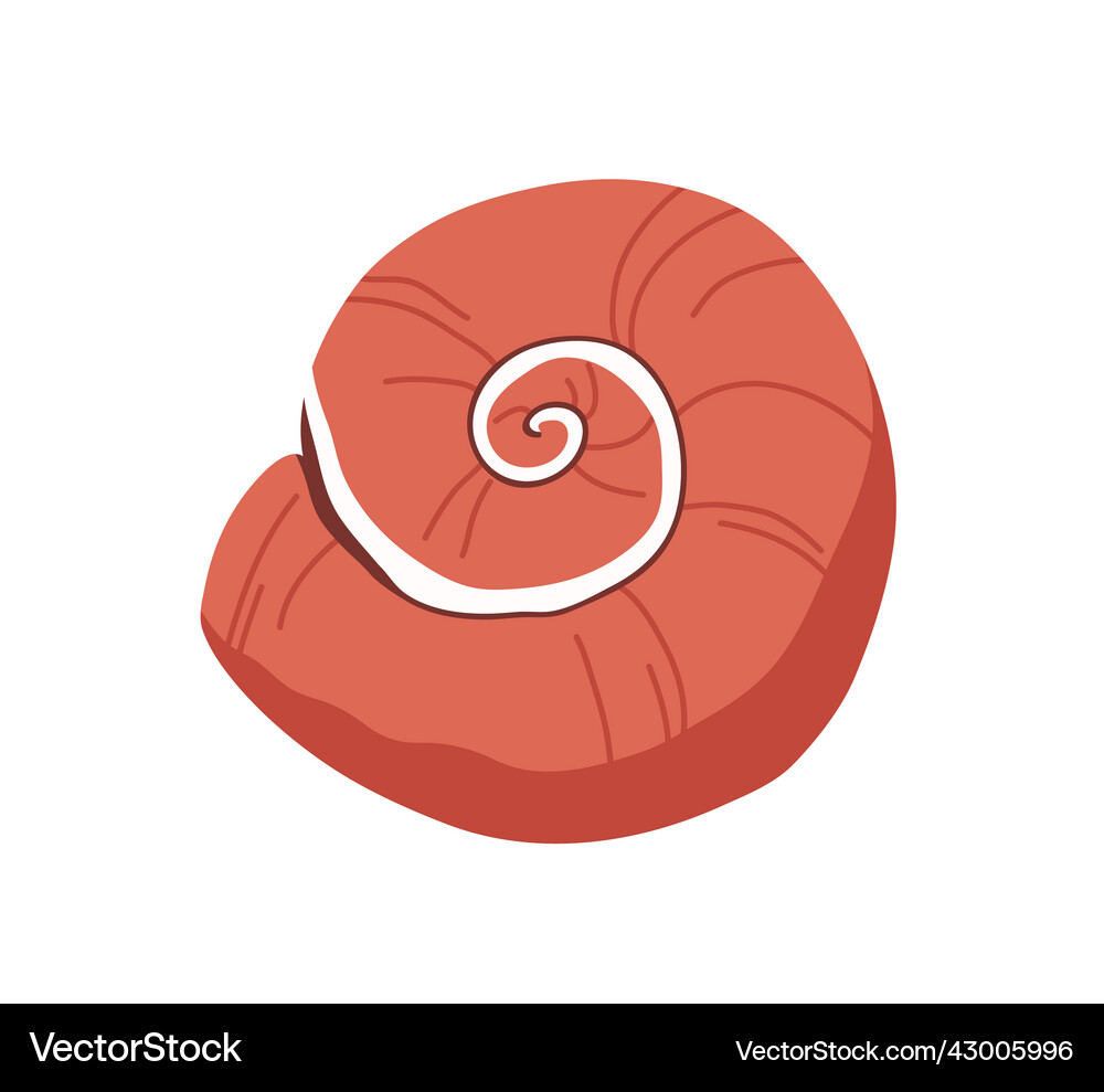 Snail sea shell marine undersea swirled seashell Vector Image