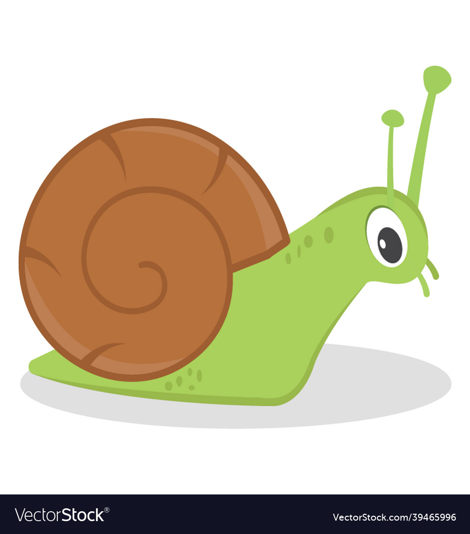 Snail Royalty Free Vector Image - VectorStock