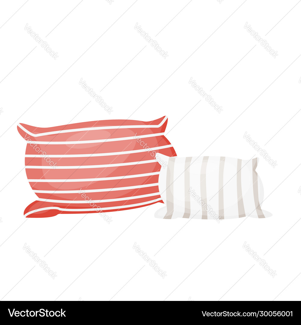 Cartoon pair decorative cushions Royalty Free Vector Image