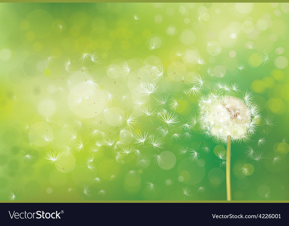 Green background Royalty Free Vector Image - VectorStock
