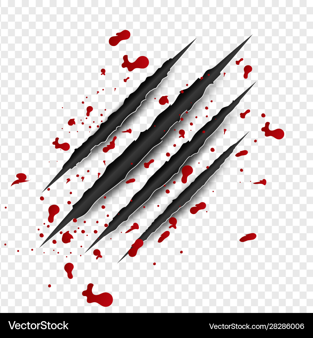Claws scratches with red blood on isolated Vector Image