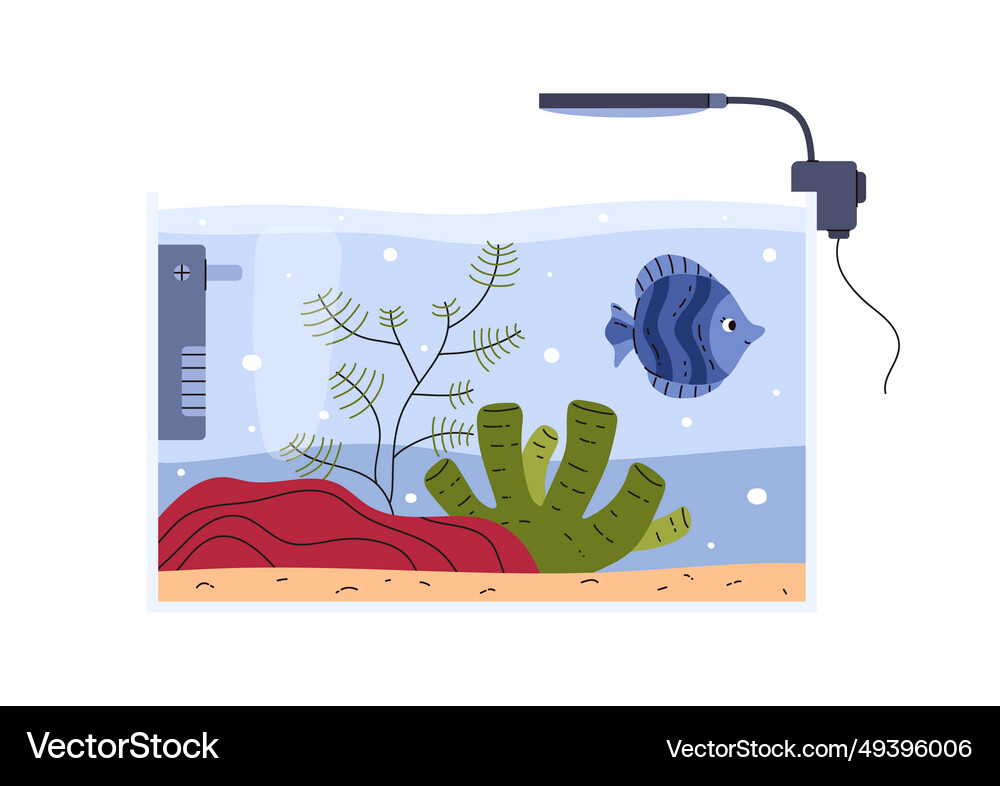 Cute home aquarium with smiling blue fish flat Vector Image