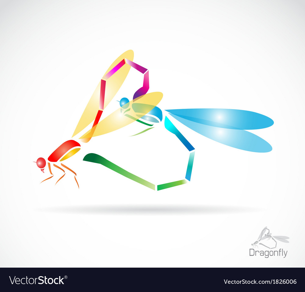 Dragonfly Royalty Free Vector Image - VectorStock