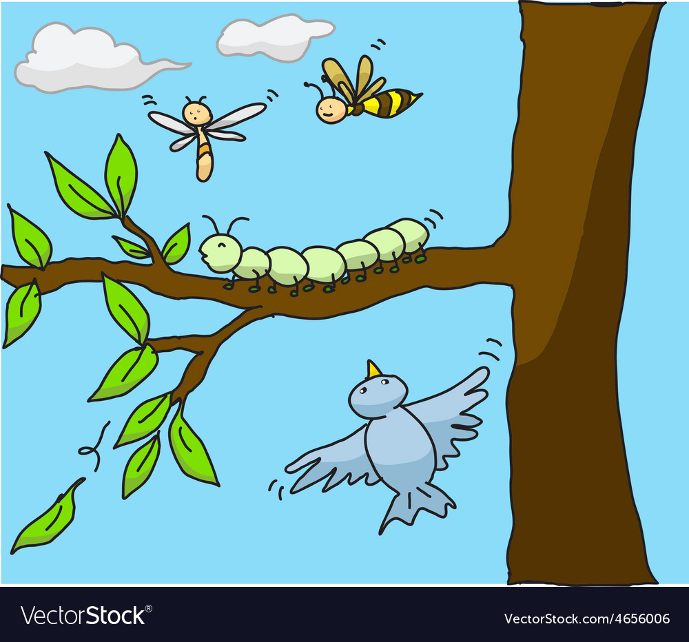 Insects Royalty Free Vector Image - VectorStock