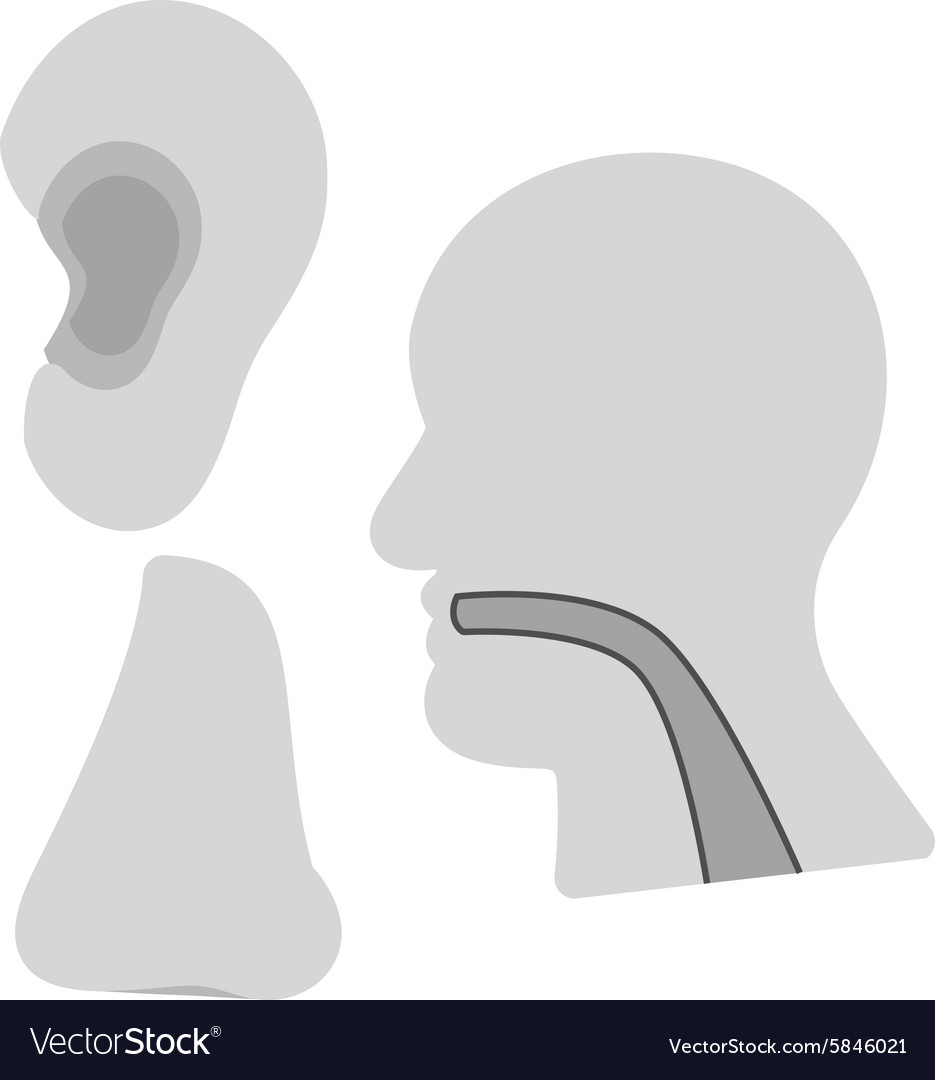 Ent sign Royalty Free Vector Image - VectorStock