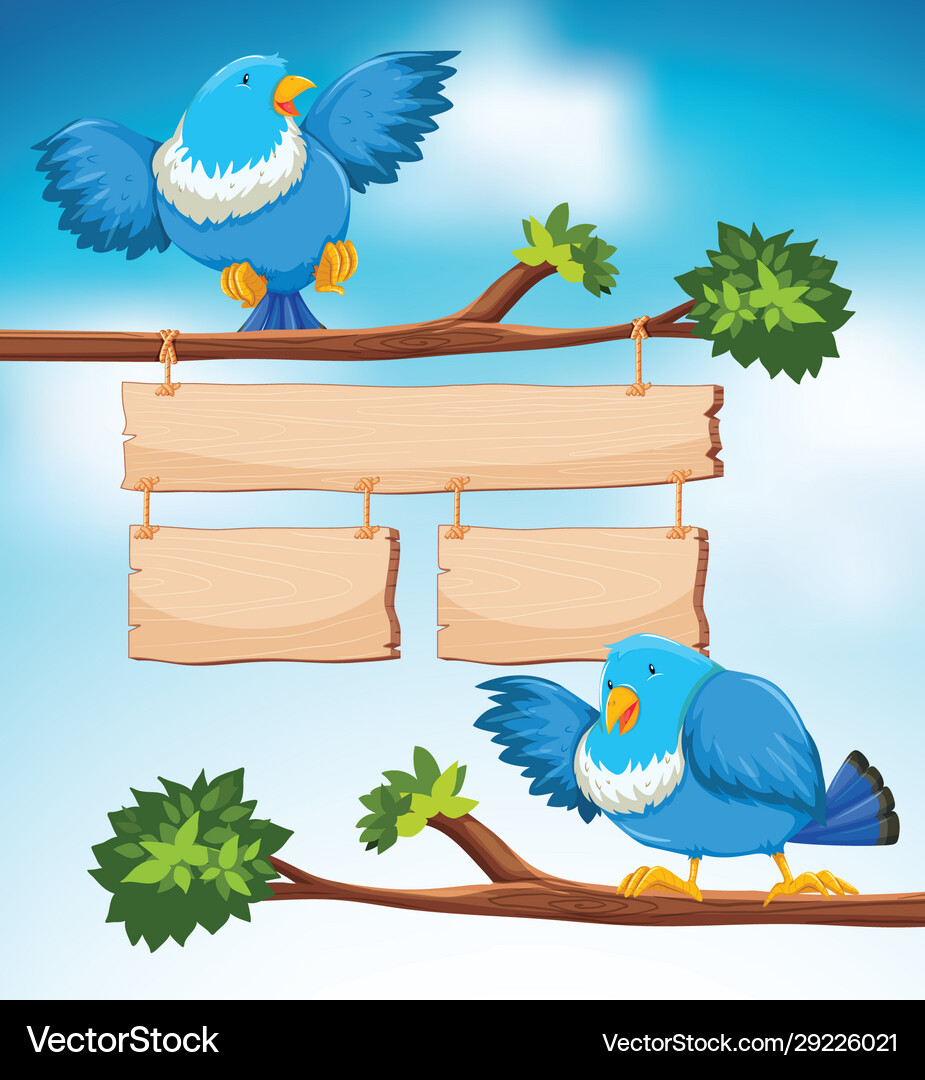 Sign template with two blue birds on branch Vector Image