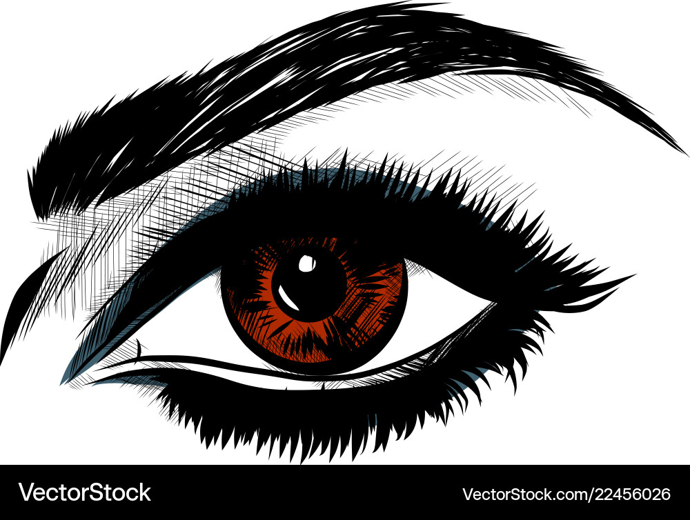 Beautiful women eyes with make Royalty Free Vector Image