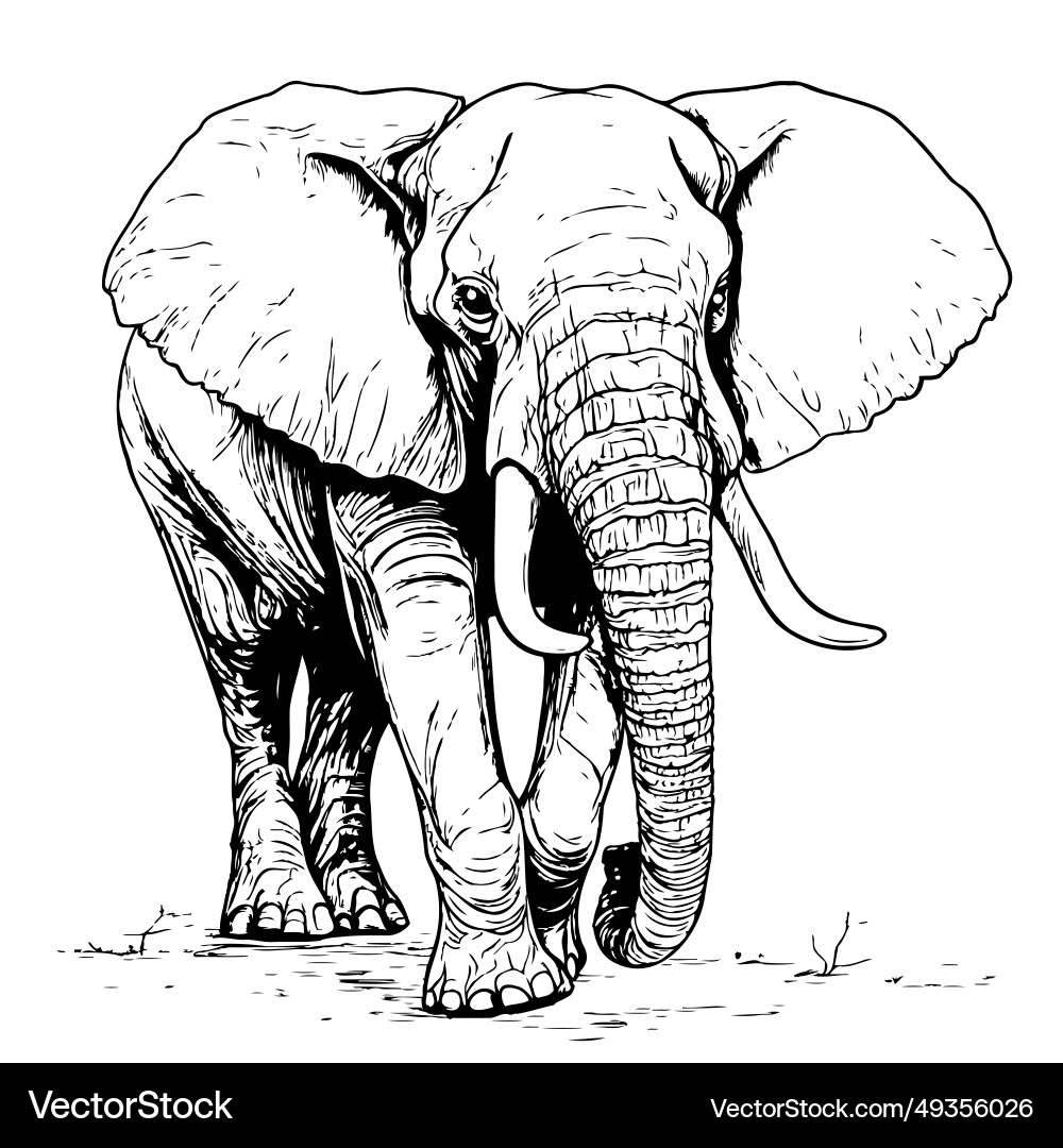 Elephant walking hand drawn wild animal Royalty Free Vector