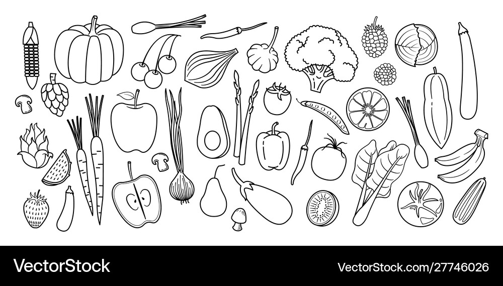 Hand drawn set healthy food Royalty Free Vector Image