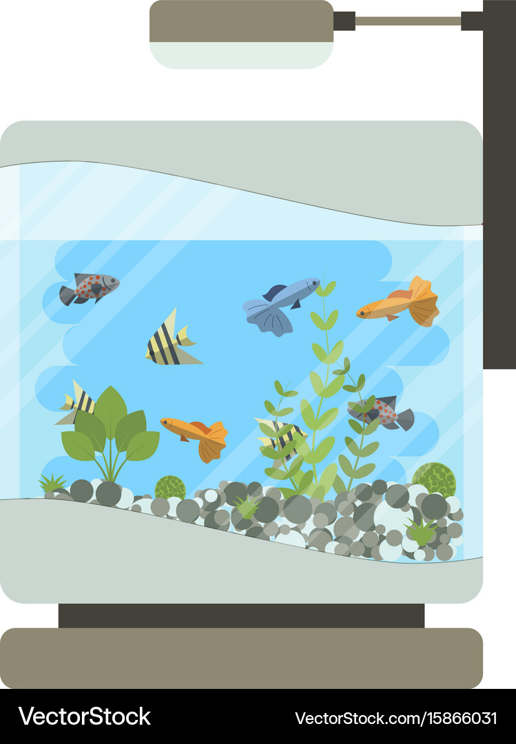 Cartoon home aquarium Royalty Free Vector Image