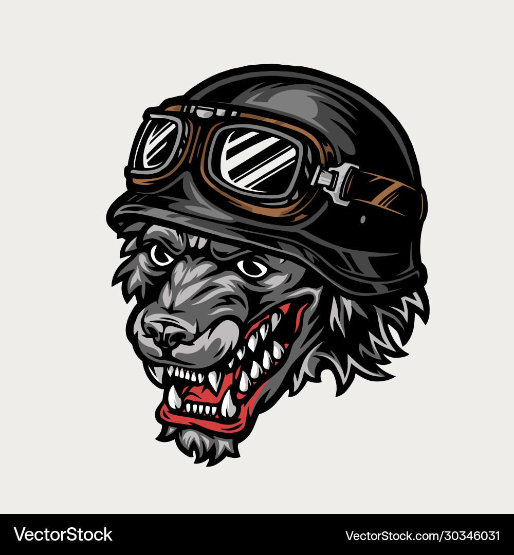 Colorful motorcyclist aggressive wolf head Vector Image