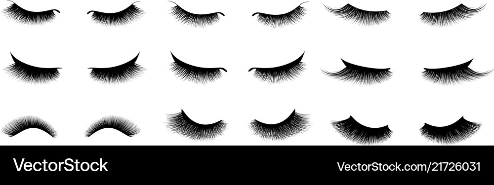 Eyelash extension set beautiful black long Vector Image