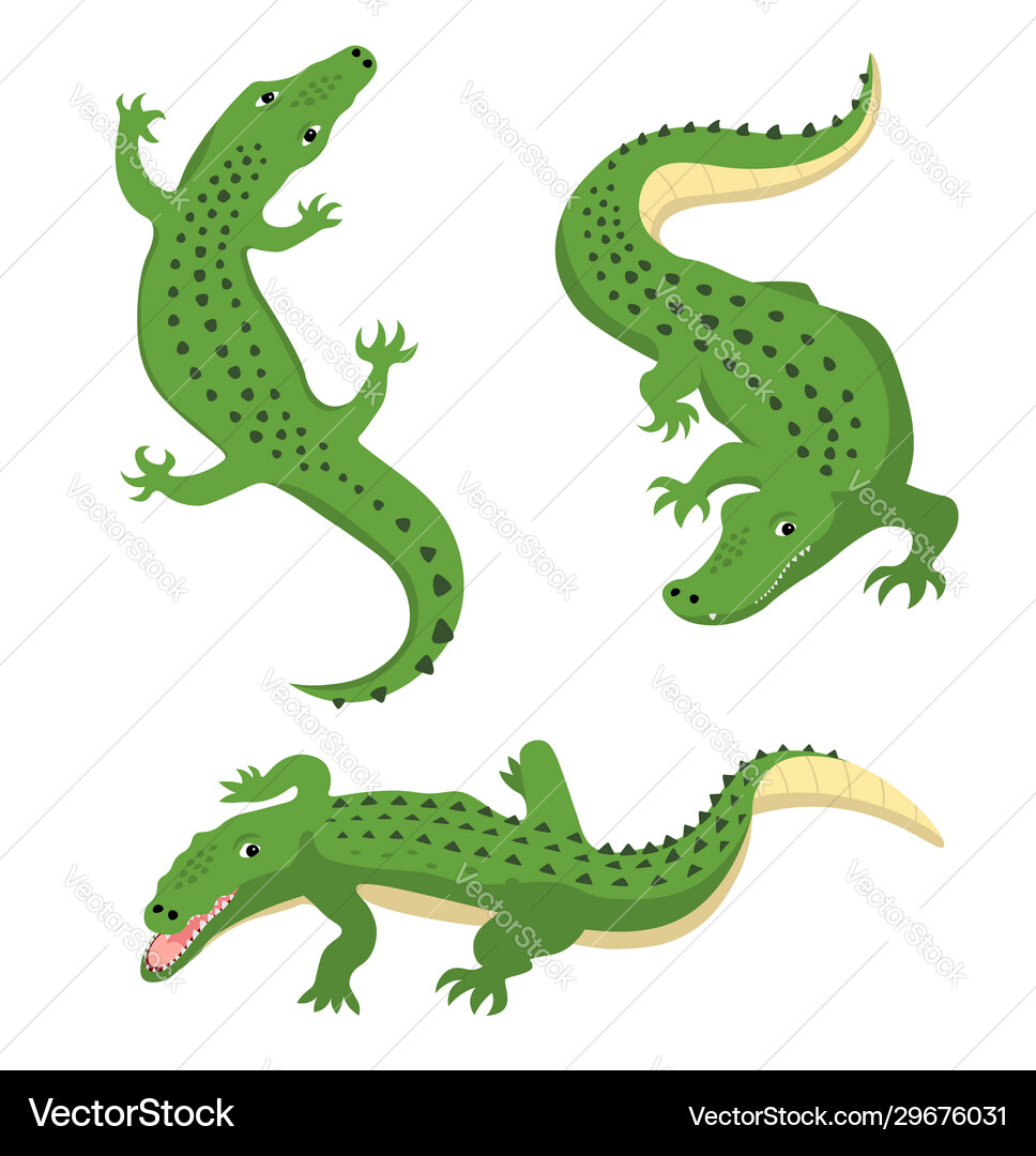 Green Alligators Set - Wild Animal Royalty Free Vector Image