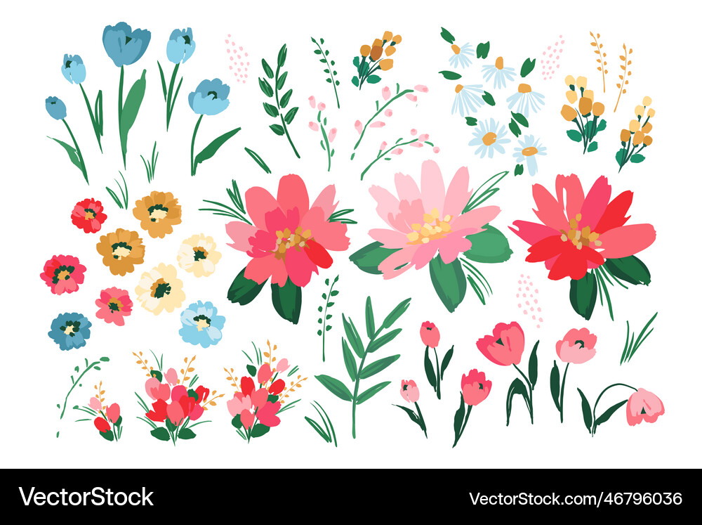 Set of abstract floral design elements leaves Vector Image