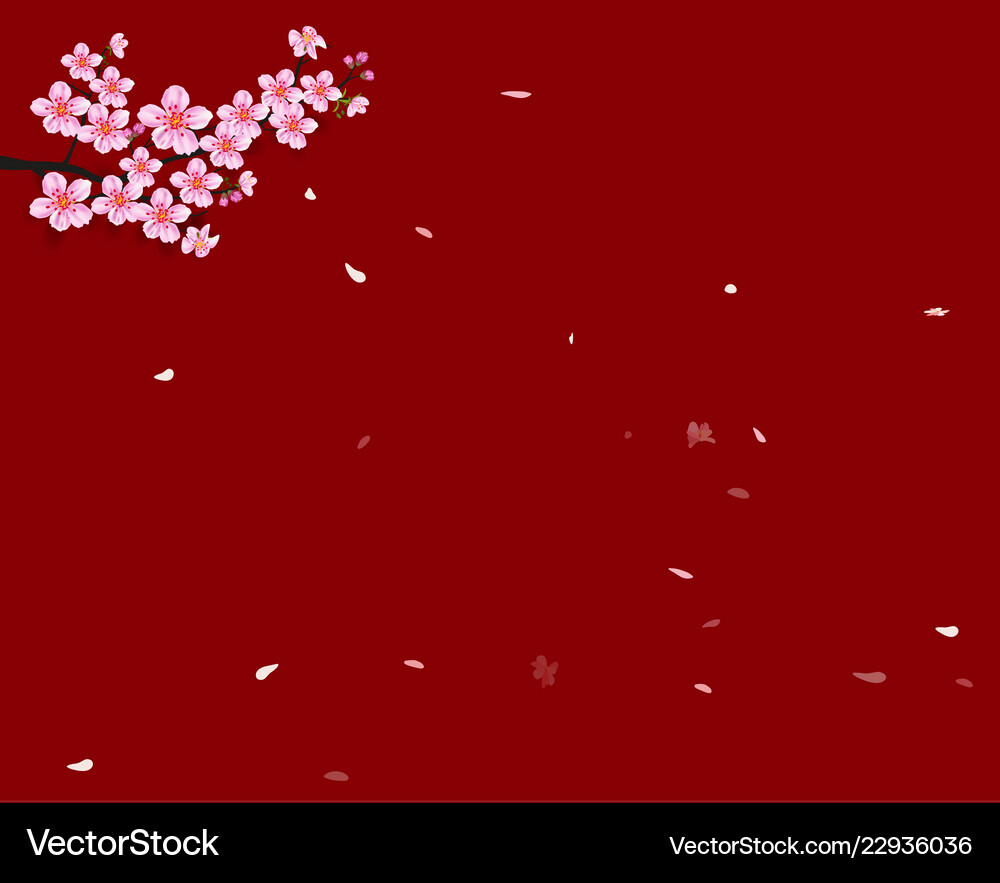 Watercolor sakura frame background with blossom Vector Image